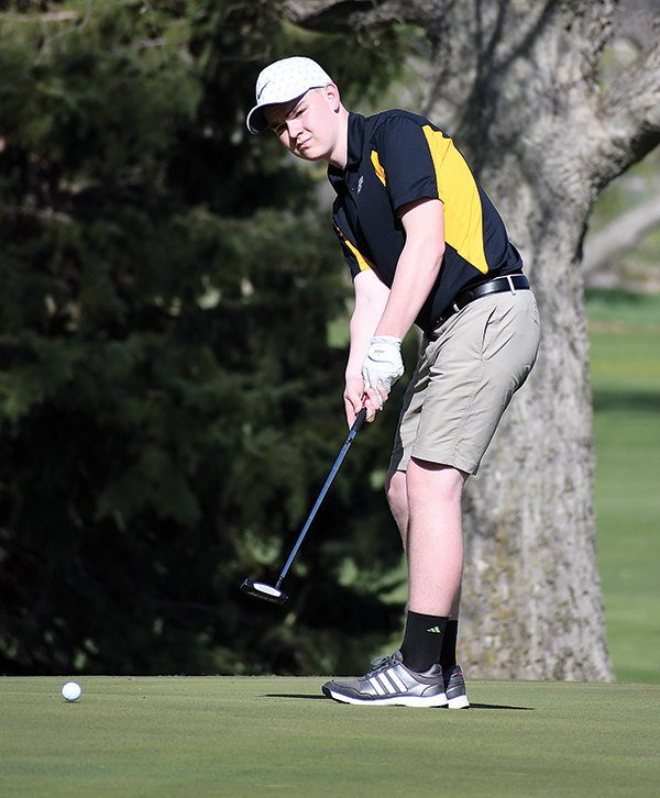 Comets top Tigers as Martin medals | News, Sports, Jobs - Times Republican